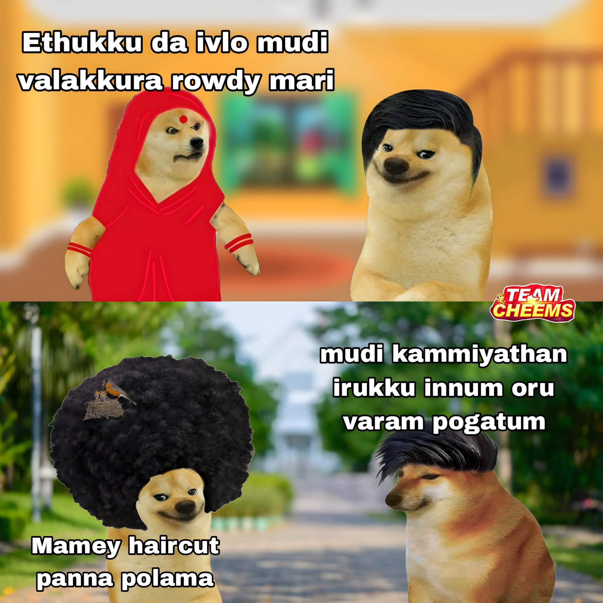 Mamey Memes