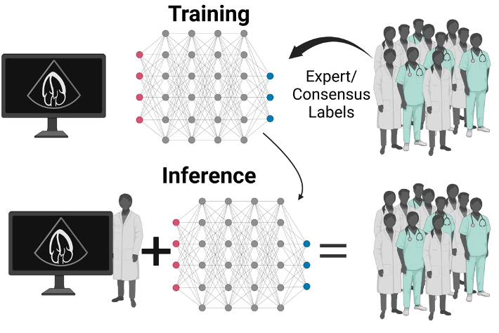 Thread by @ramseywehbemd on Thread Reader App – Thread Reader App