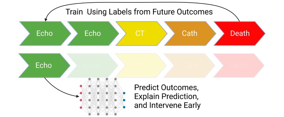 Thread by @ramseywehbemd on Thread Reader App – Thread Reader App