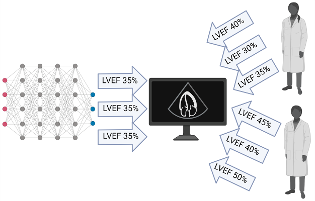 Thread by @ramseywehbemd on Thread Reader App – Thread Reader App