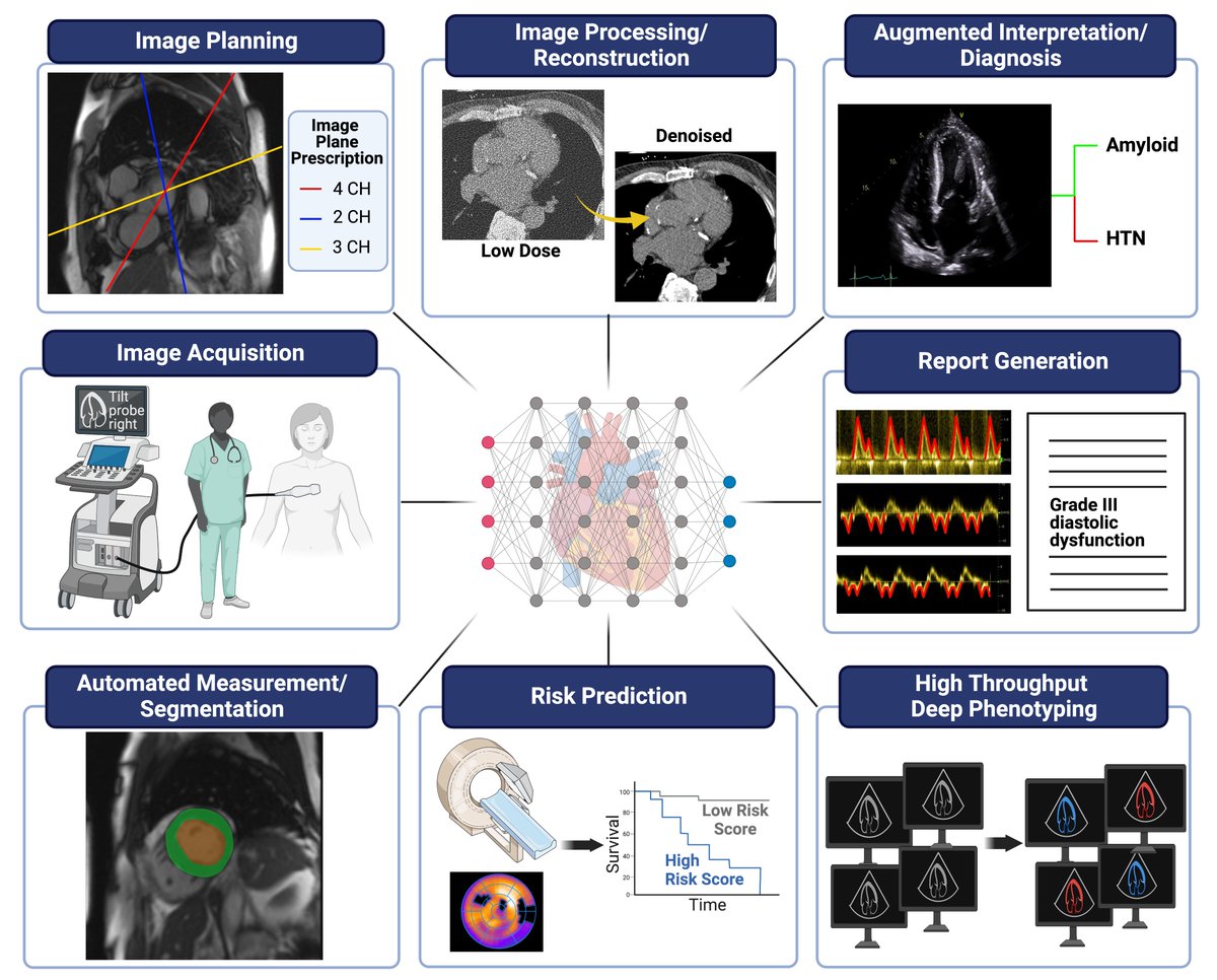 Thread by @ramseywehbemd on Thread Reader App – Thread Reader App
