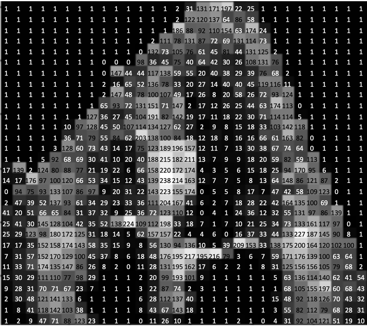 Thread by @ramseywehbemd on Thread Reader App – Thread Reader App