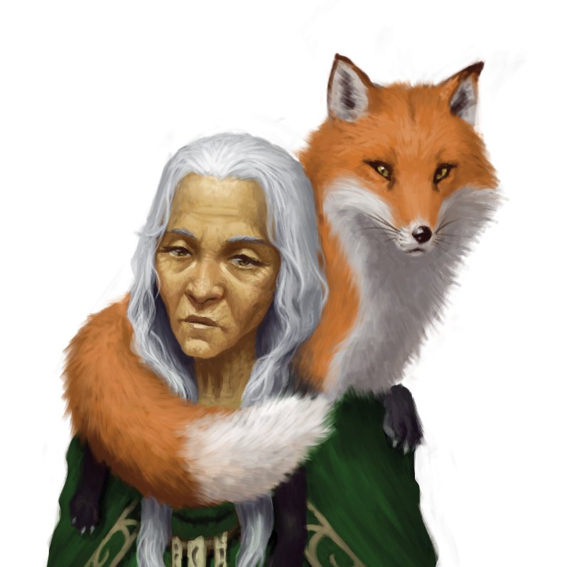 Reidoth, the Druid." Made for Phandelve」|Robson Michelのイラスト