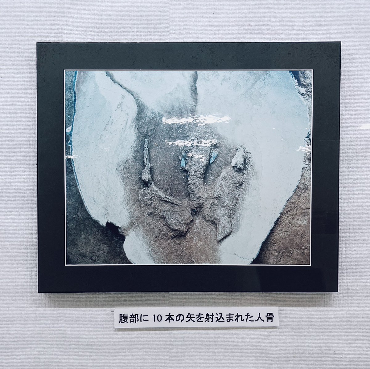 縄文ZINE's Threads – Thread Reader App