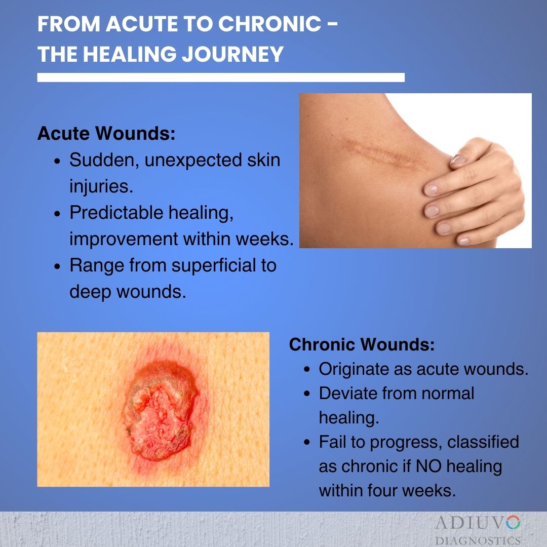 Types Of Wounds Classifications