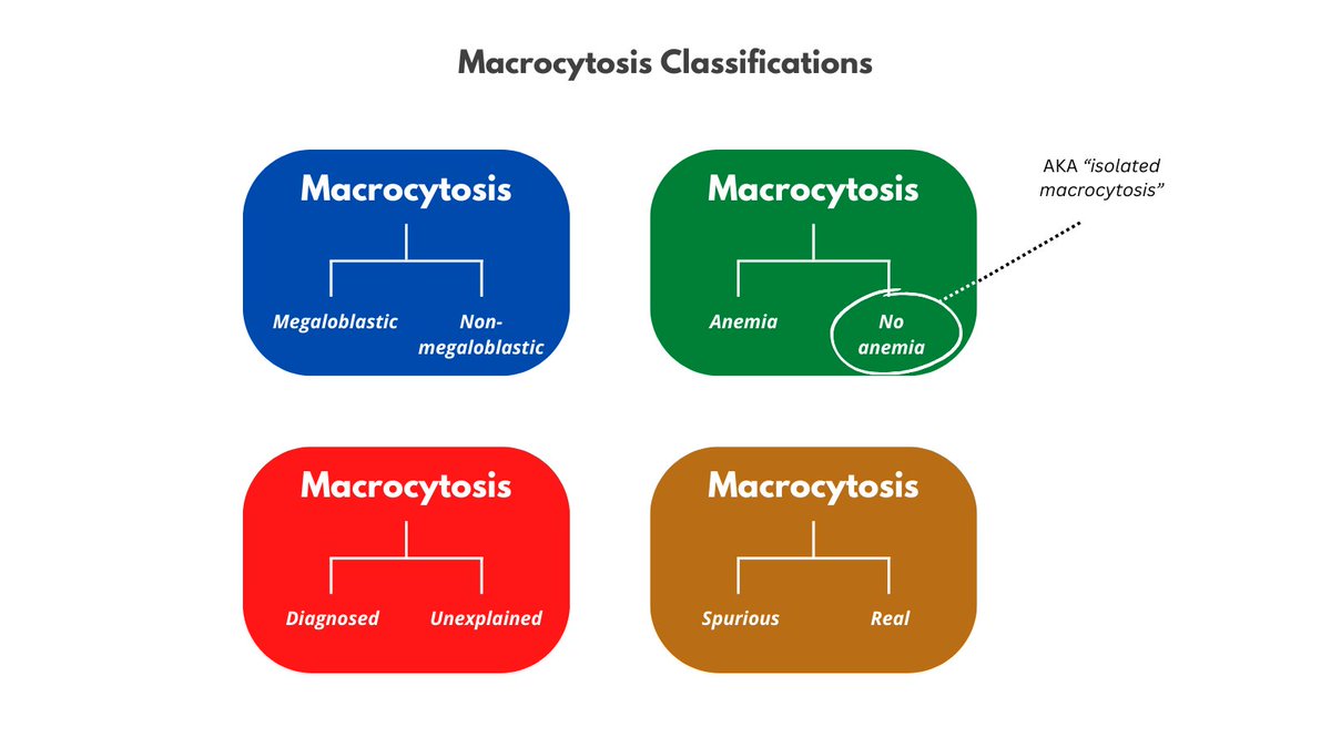 Macrocytosis