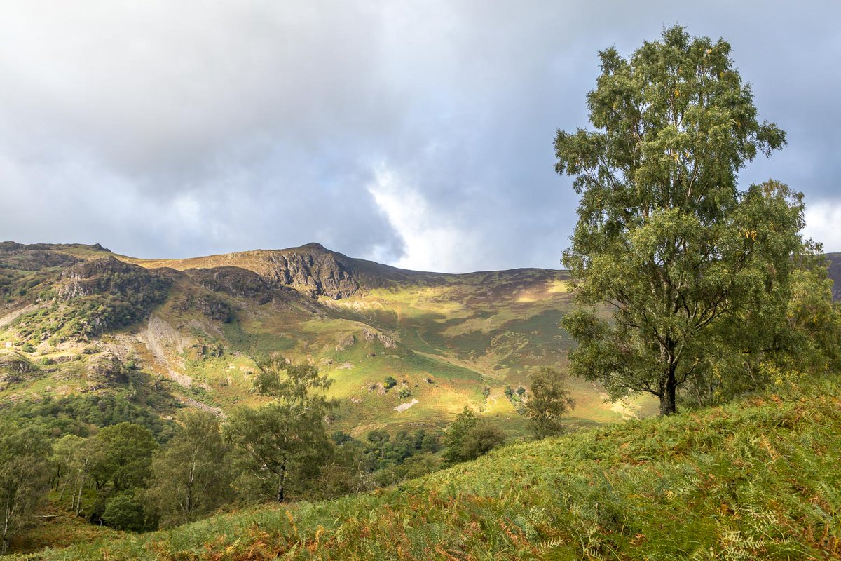 Blake Fell - Andrews Walks