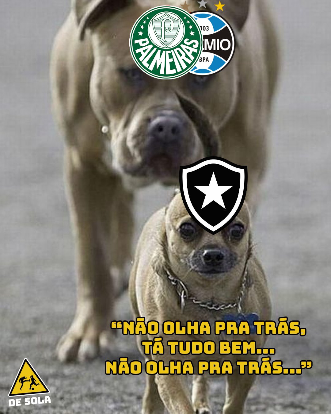 Memes De Collares De Choque Los Mejores Memes De Franco Colapinto Tras