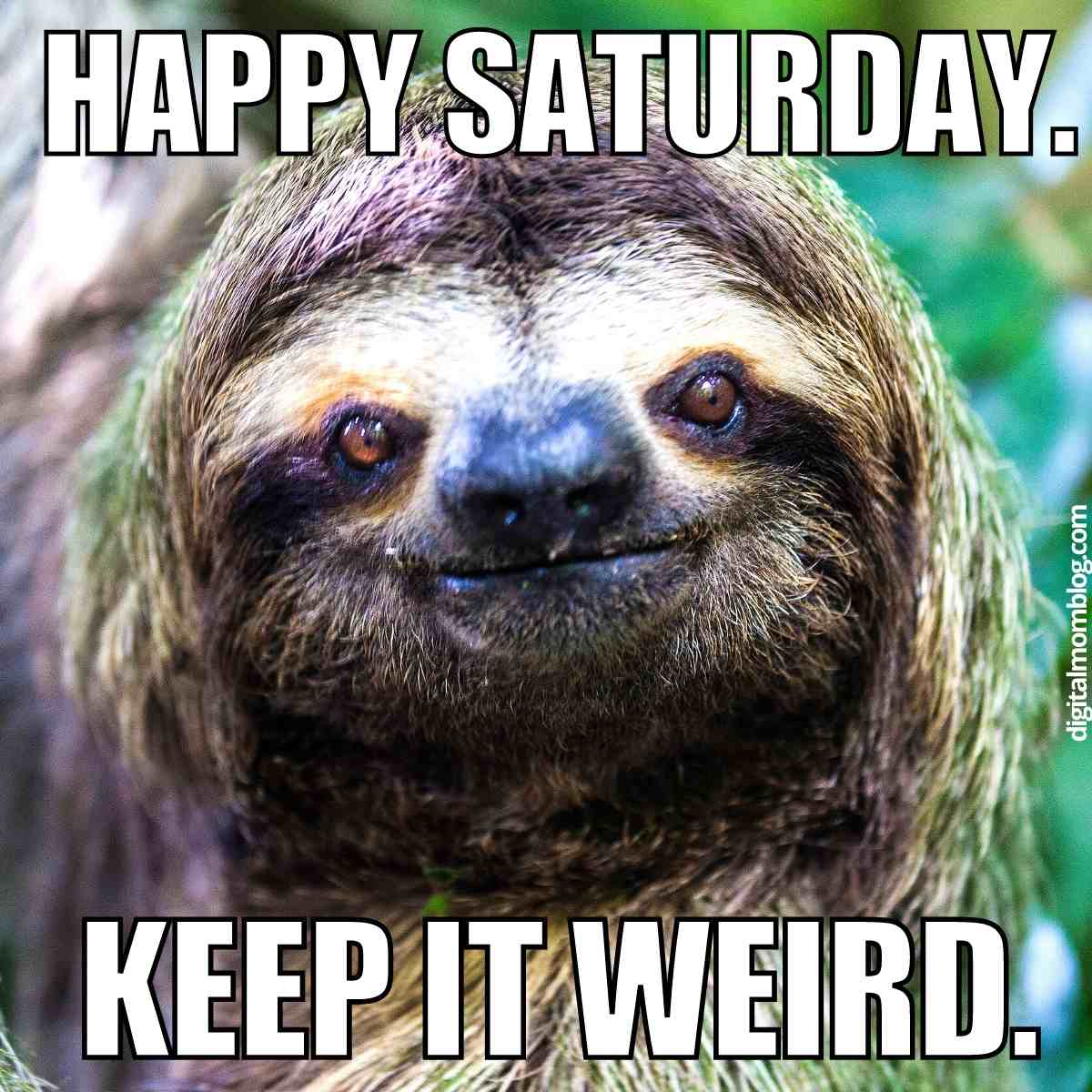 Funny Happy Saturday Pictures