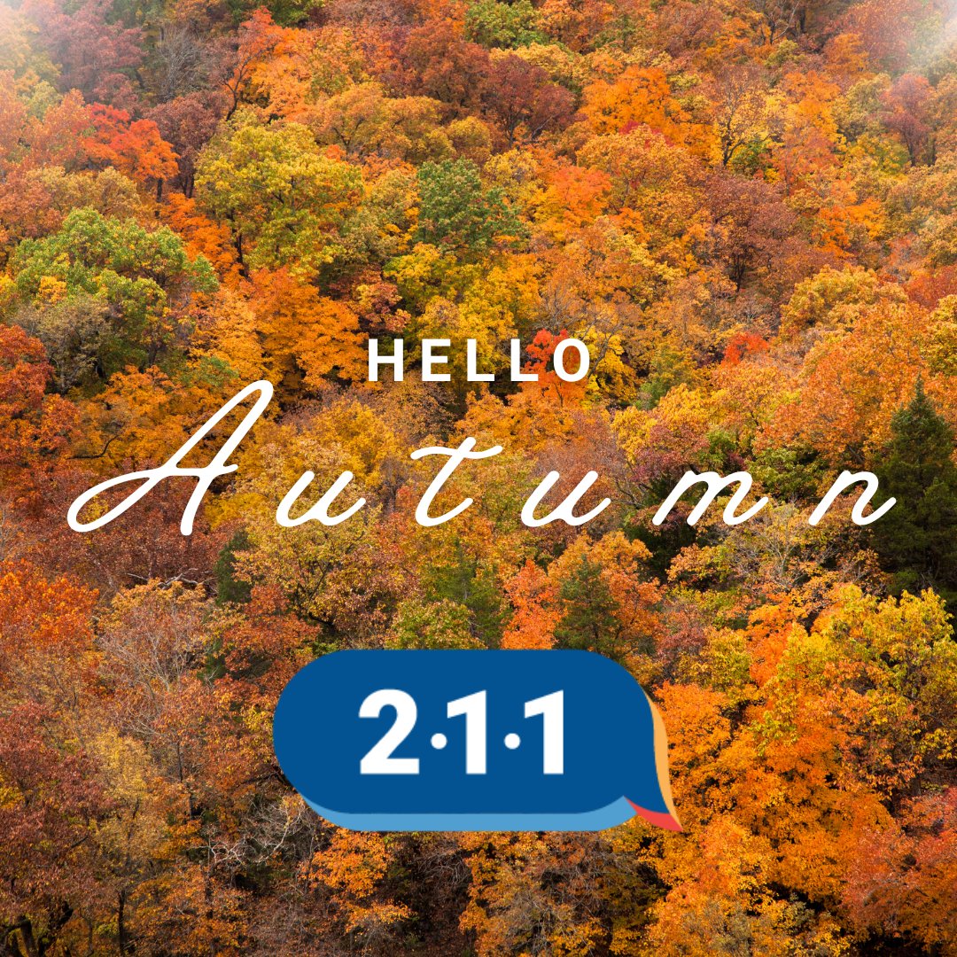 Kentucky 211 | Connecting You with the Resources You Need