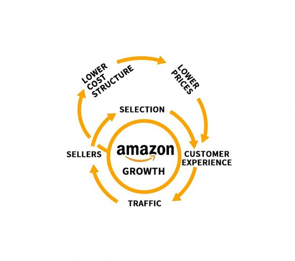 Las cartas de Amazon son una lectura imprescindible para cualquier ...