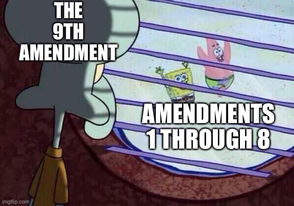 The Ninth Amendment Cartoon