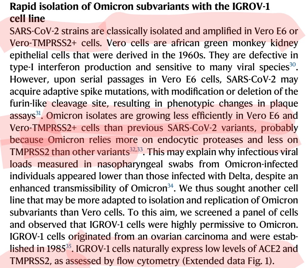 CALU-3 cells, iGROV-1cells or Vero E6 🤔 Why is this VERY IMPORTANT ? Arigato, big thanks to ...