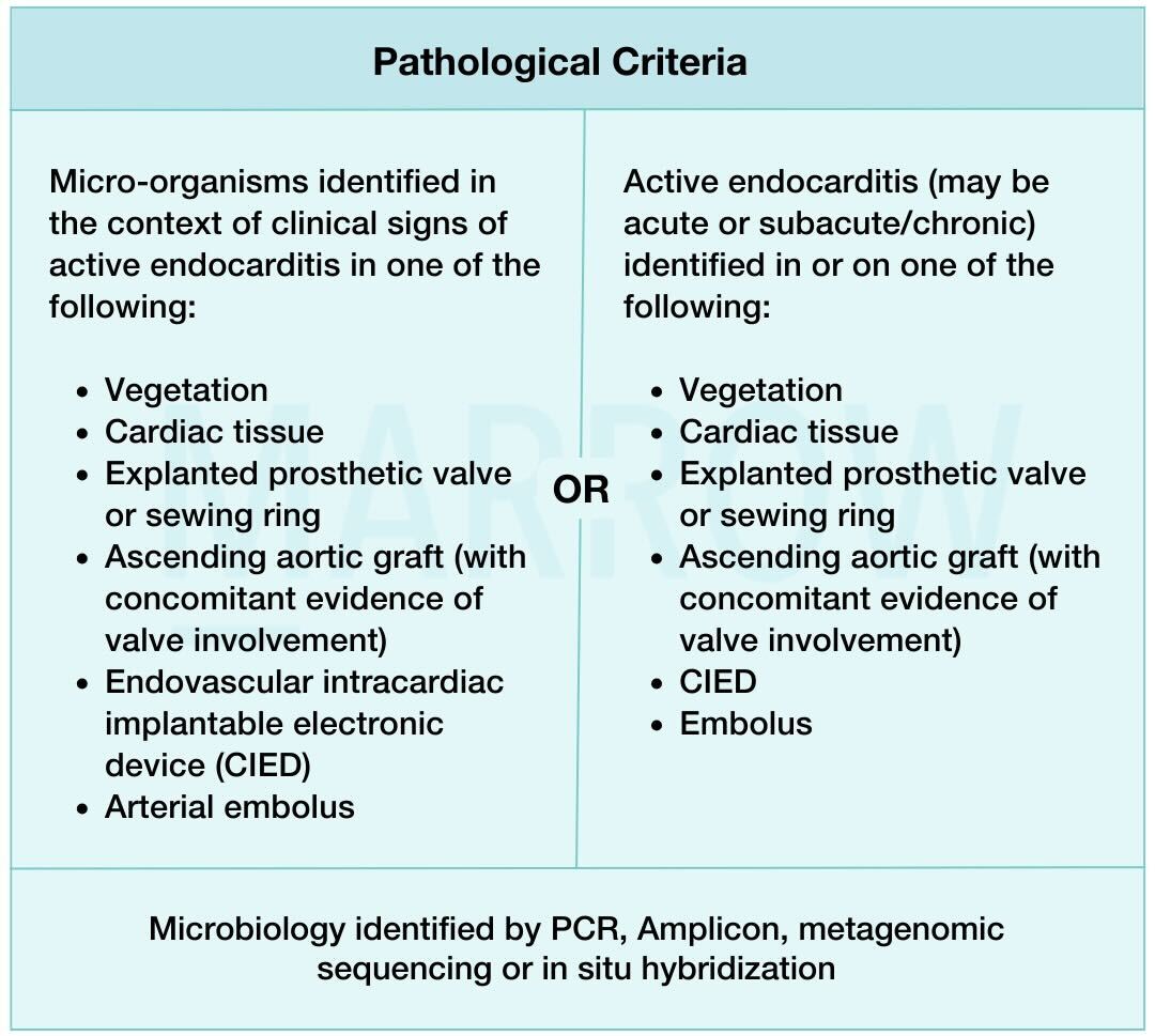 (1/4) The Modified Dukes Criteria for Infective Endocarditis has gotten ...