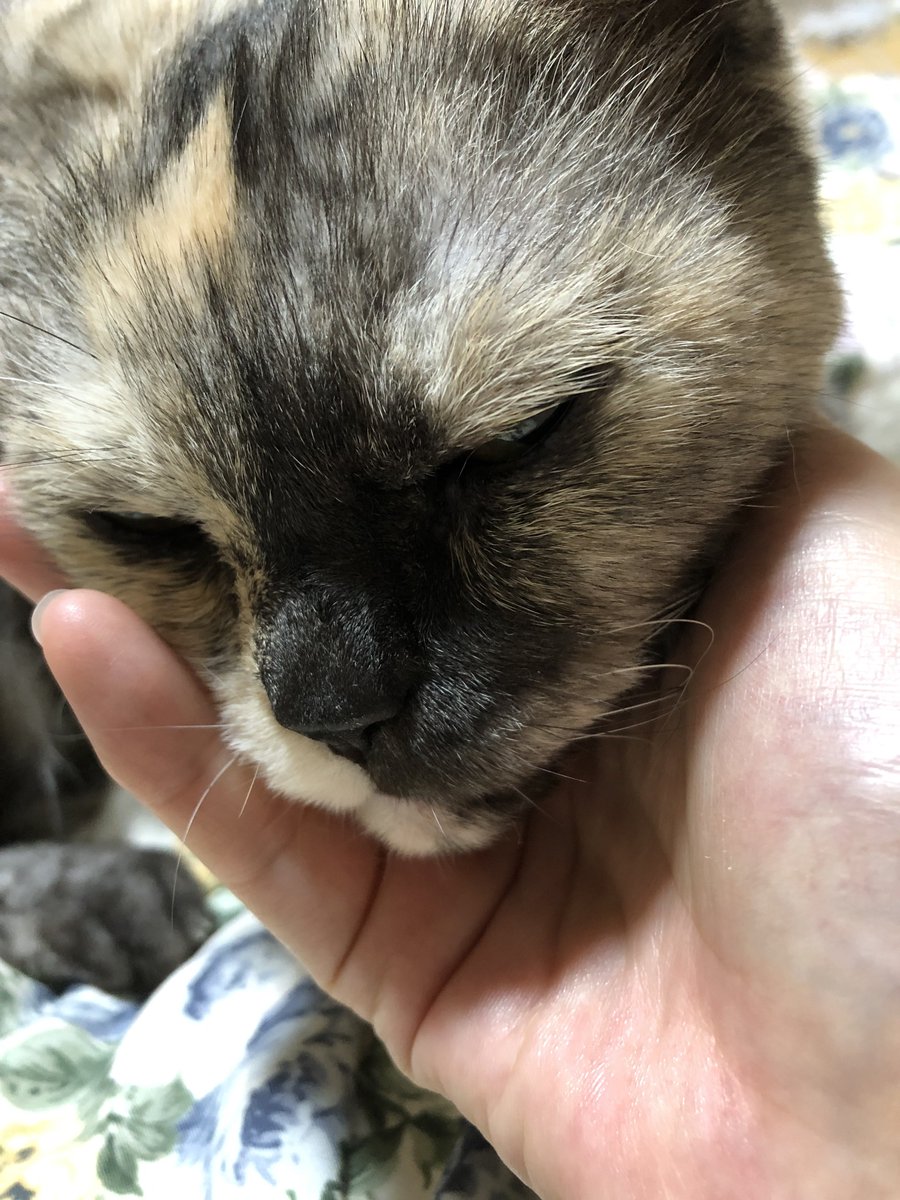 亜実(@_ami_k) - Twilog