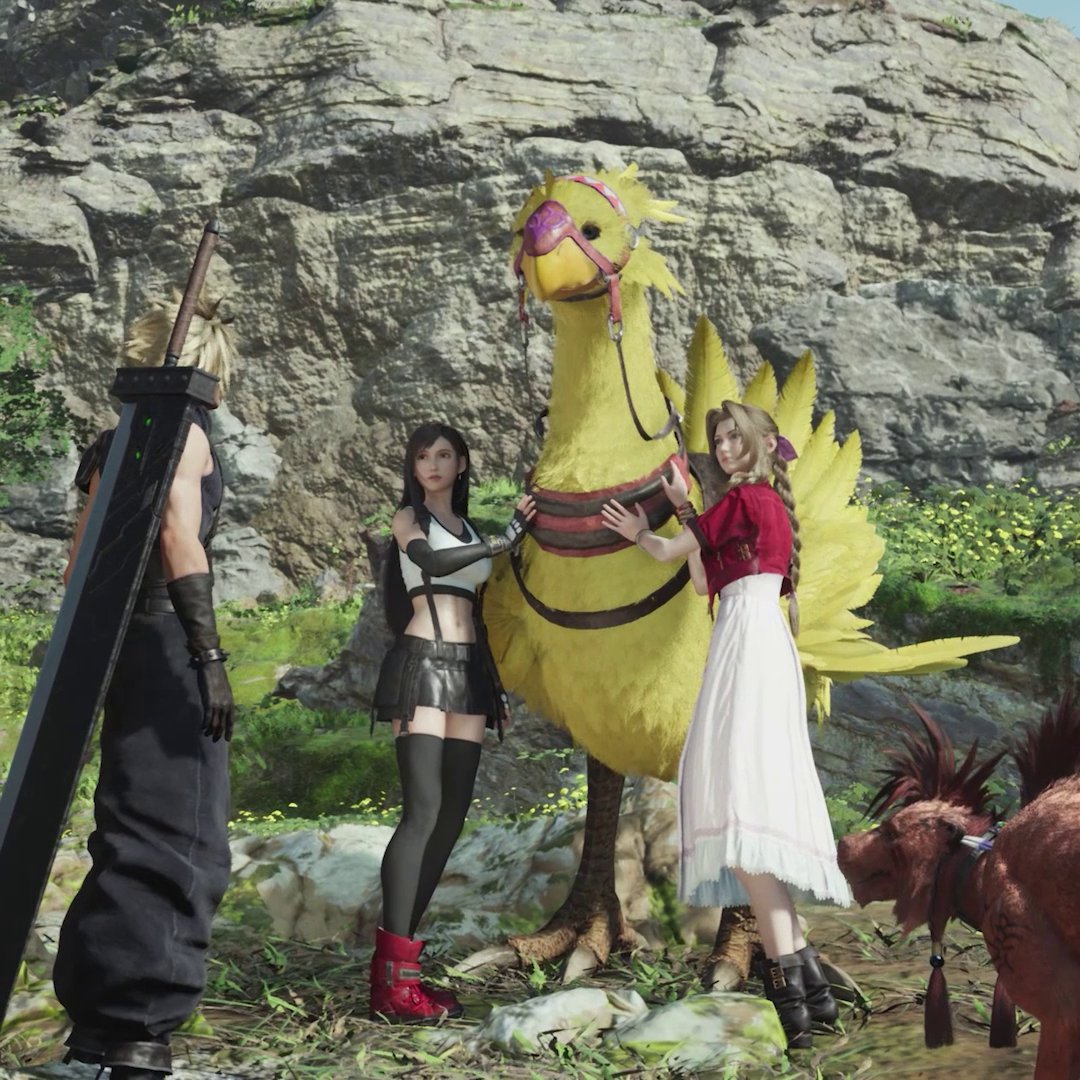Baby Chocobo Costume