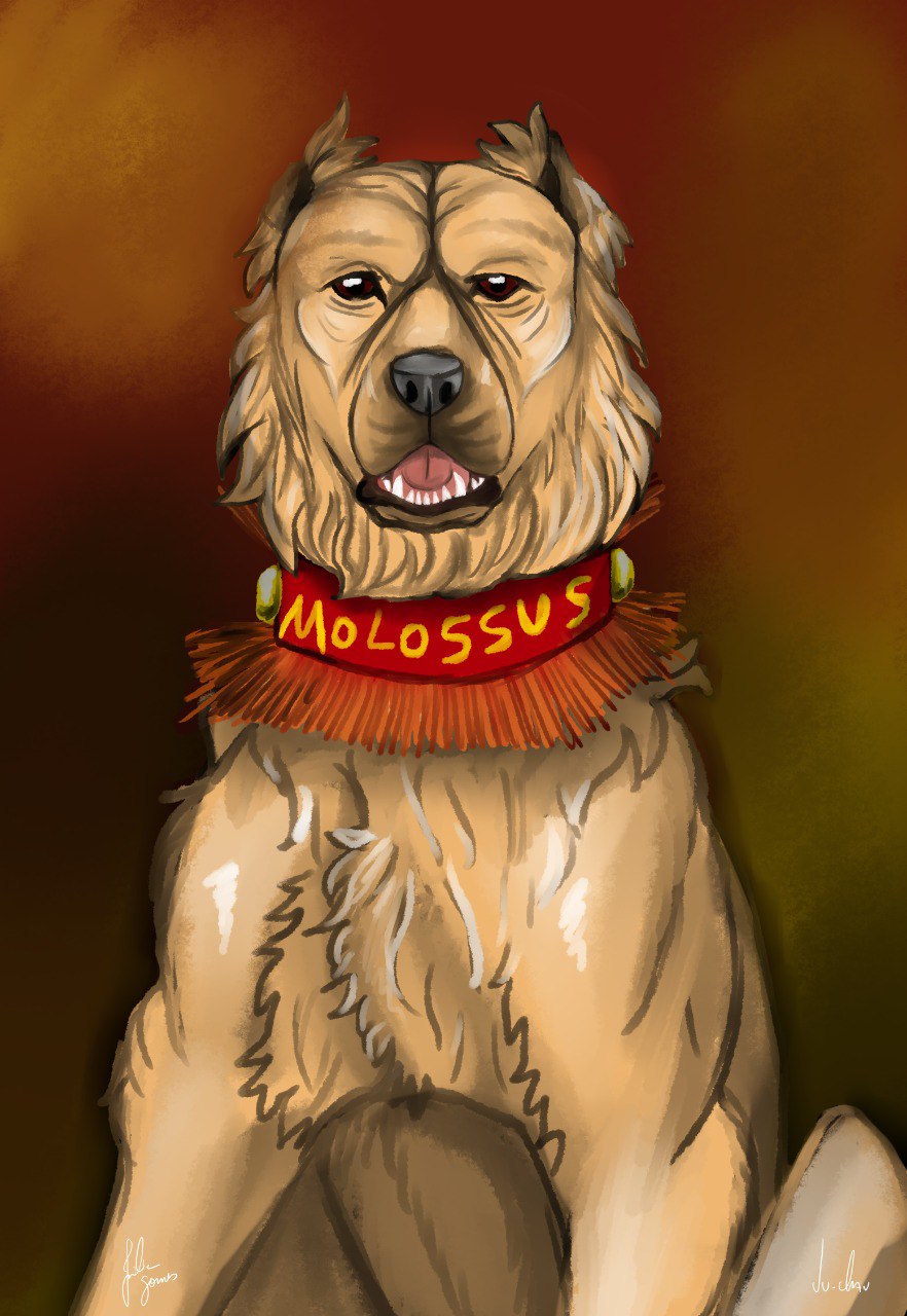 Molossus Dog Ancient