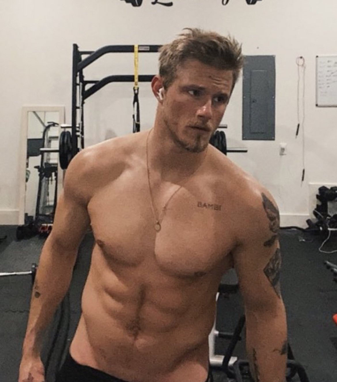 Alexander Ludwig Muscles