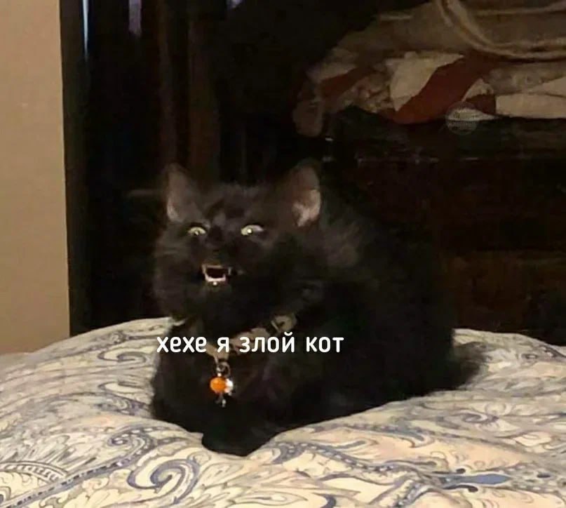 Satan Cat Memes
