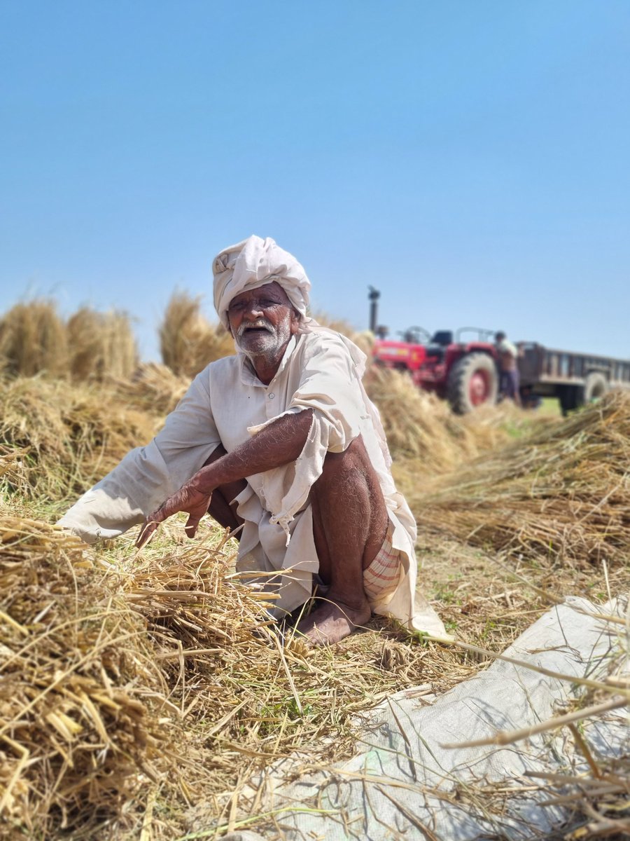 देश का अन्नदाता' जय किसान..... 🌱🌿 @jaikisan - المسلسل من Monu Gurjar @ChMonuGurjar - رتبها