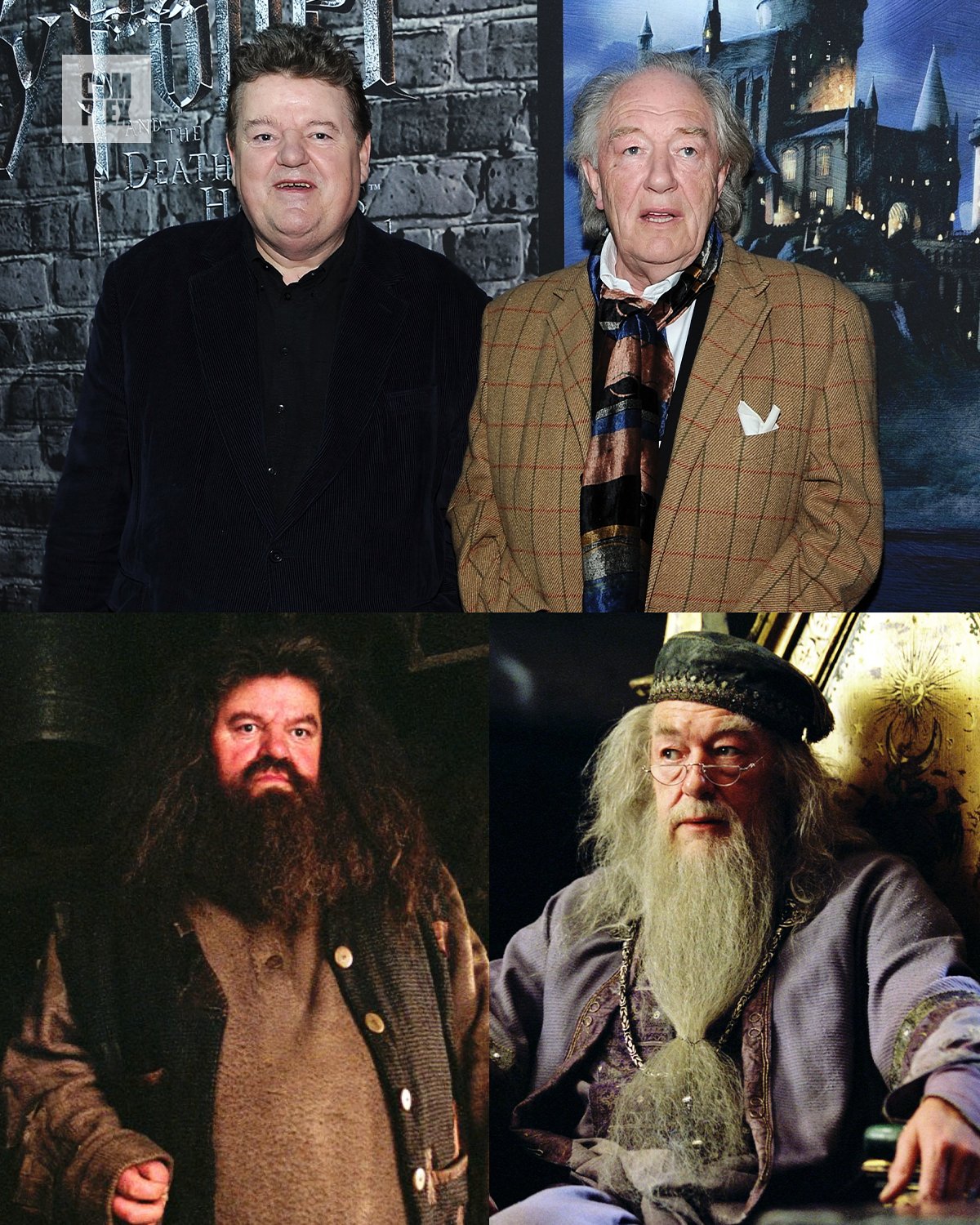 Albus Dumbledore Smiling