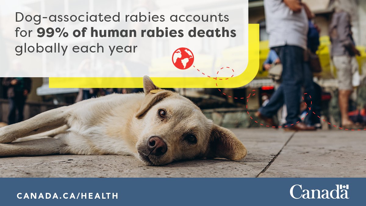 Human Rabies