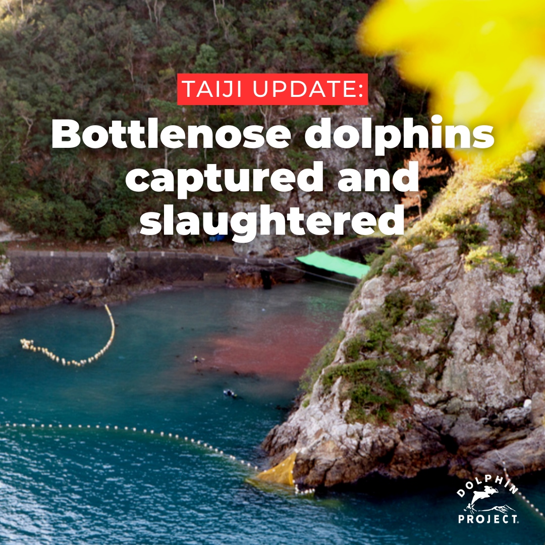 The Cove Taiji Map