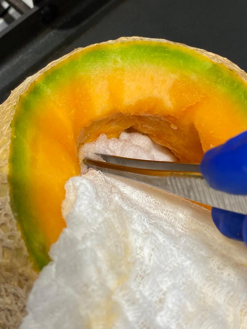 🧵regarding the packing of cavities for hemostasis during surgery: Here ...