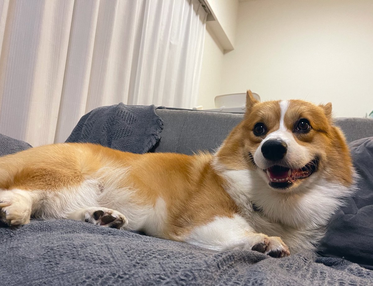 シーボ(@seabo) - Twilog