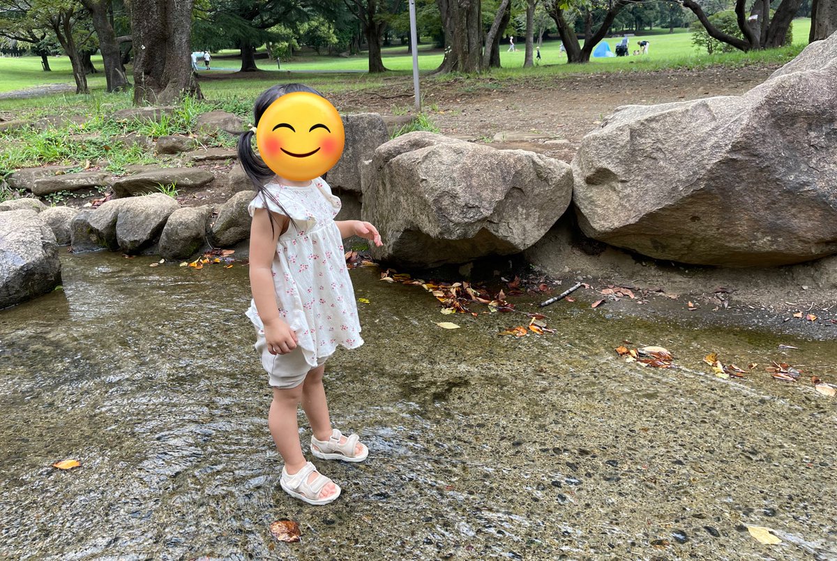 シーボ(@seabo) - Twilog