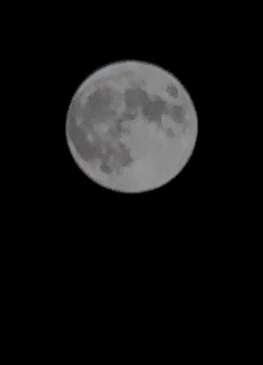 うり坊(@uribou) - Twilog