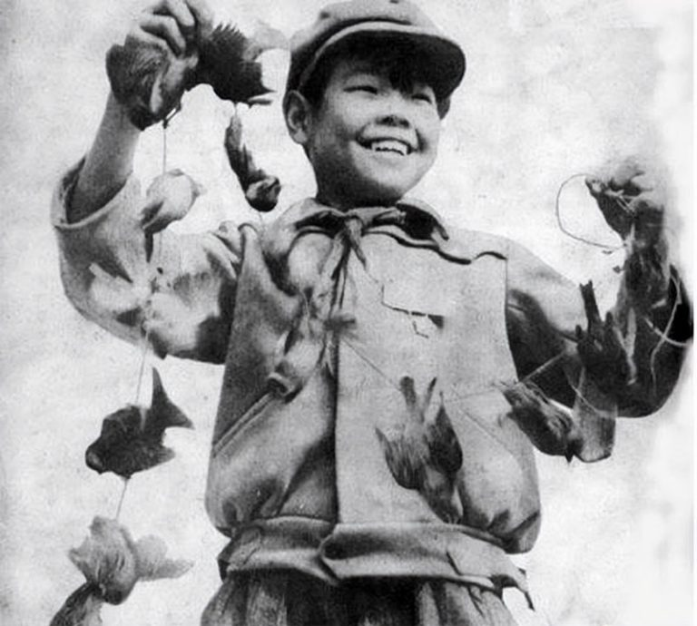 The story of a war against sparrows: In 1958, Mao Zedong, who was the ...