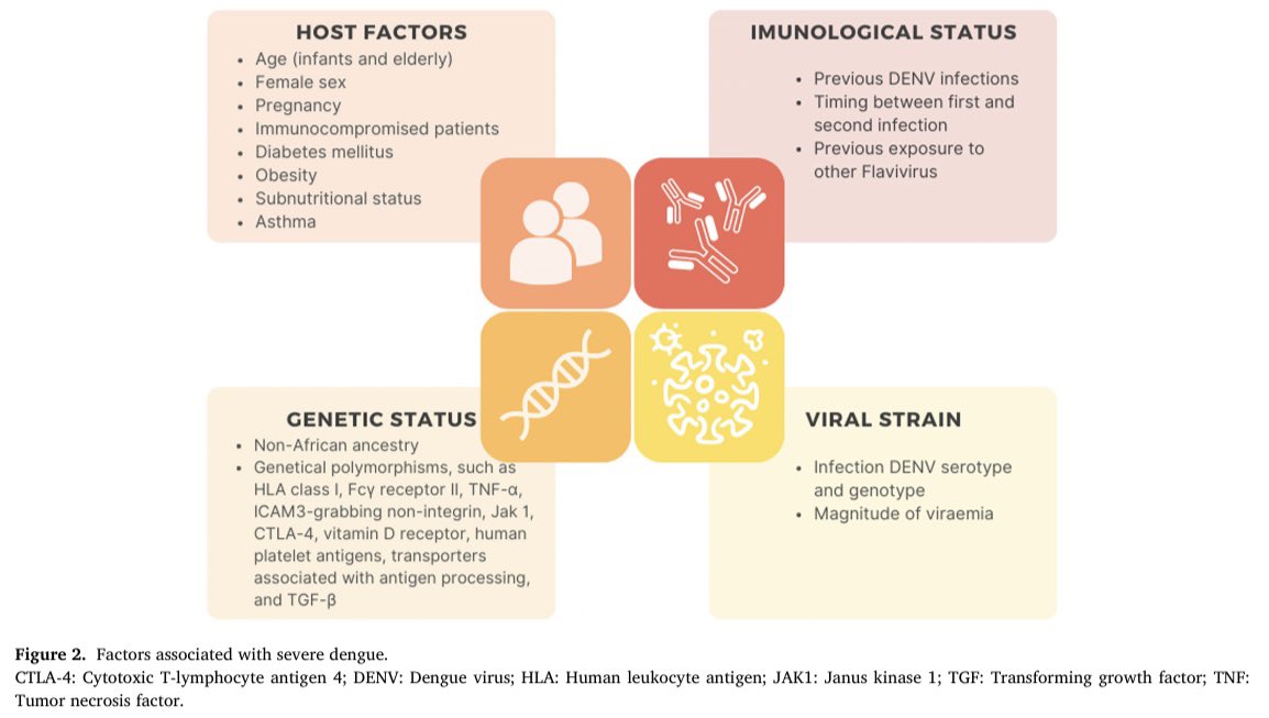 🚨🦟 El #Dengue, transmitido por el mosquito Aedes, afecta a más de la ...