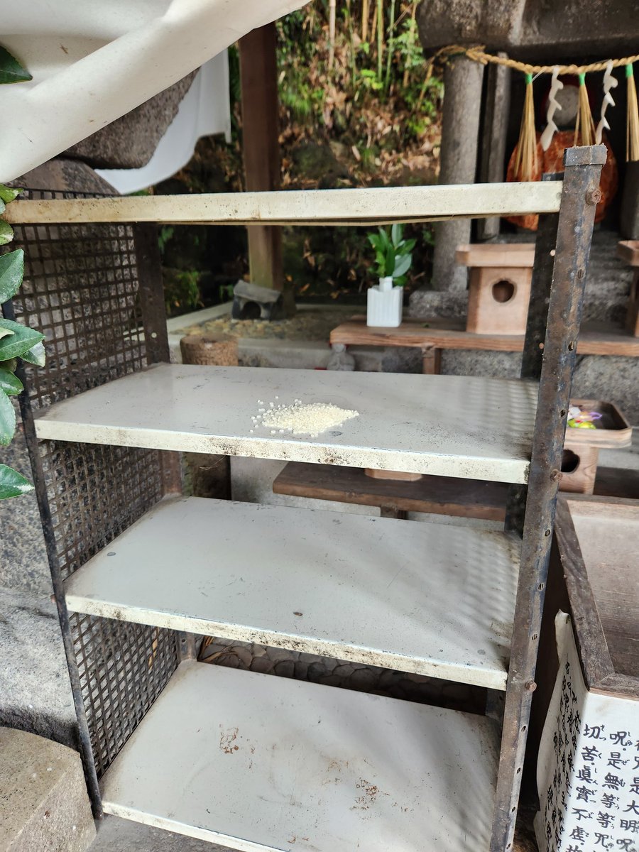 mayu_tomo(@mayu_to12) - Twilog