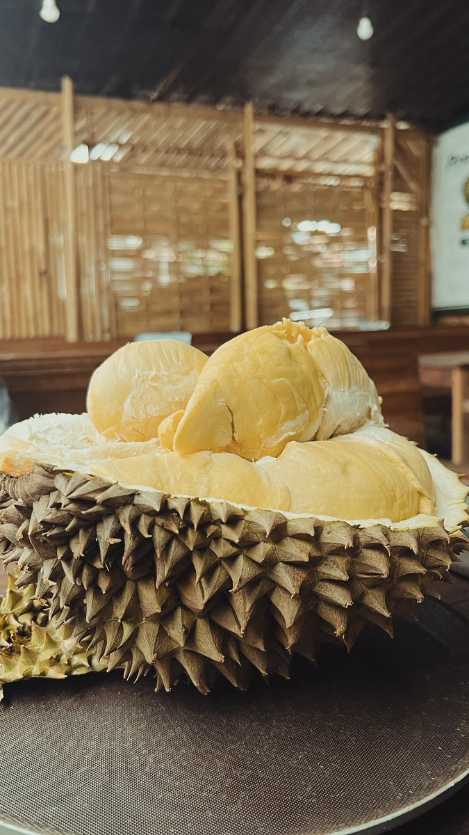 Di balik duri yang menyelimutimu, masihkah namaku tersimpan manis di ...