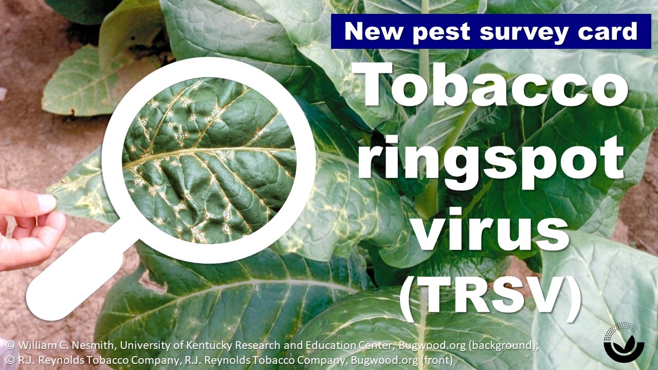 Trsv Logo Tubing Retrievable Safety Valve (TRSV) Guide Drilling