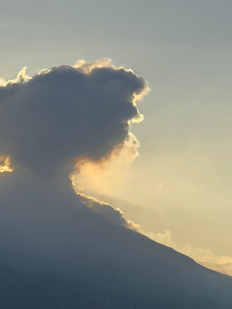 エルデザインプラス@鹿児島のデザイン事務所(@eldesign_plus) - Twilog