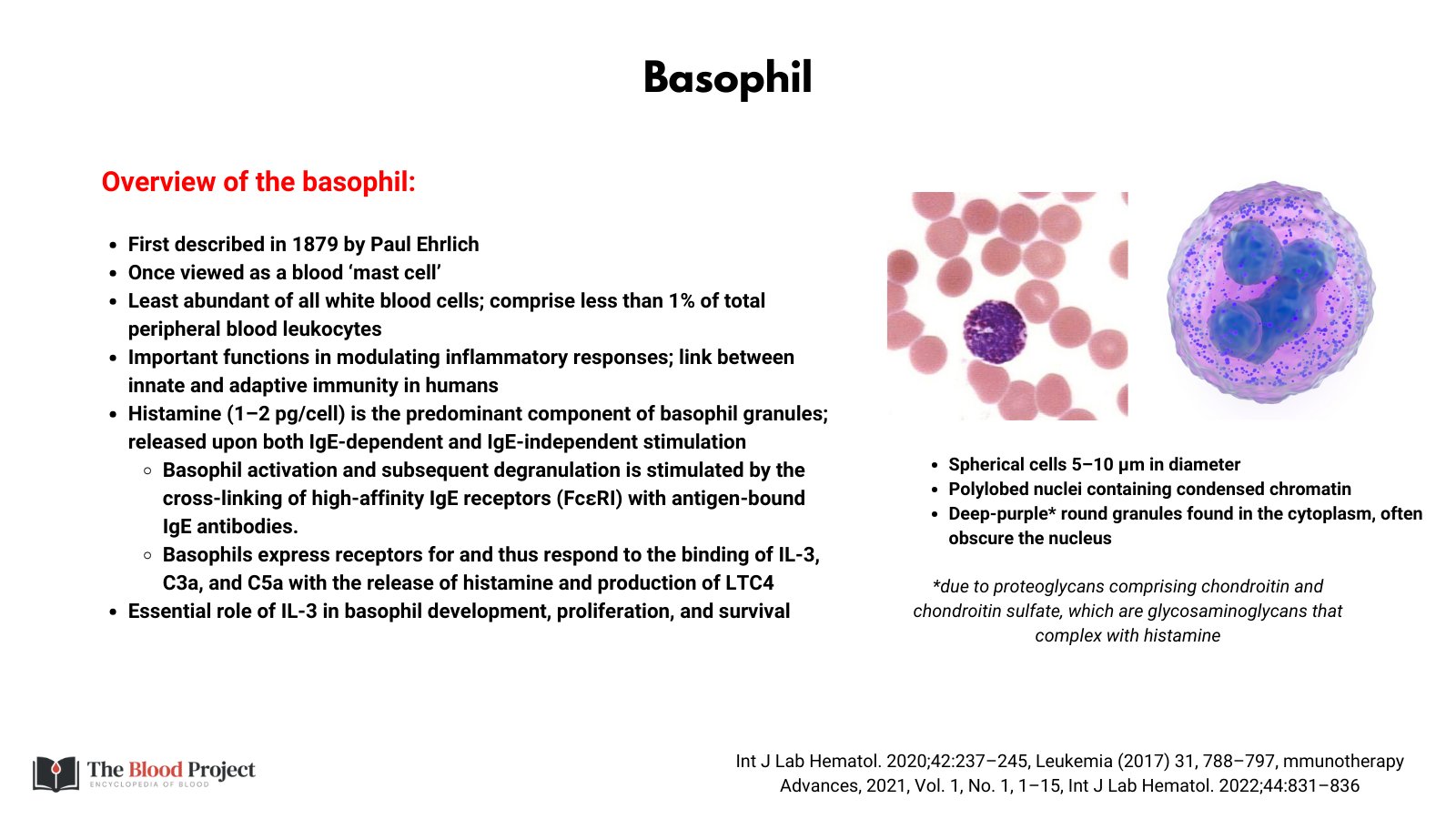 Basophils High Normal Histology