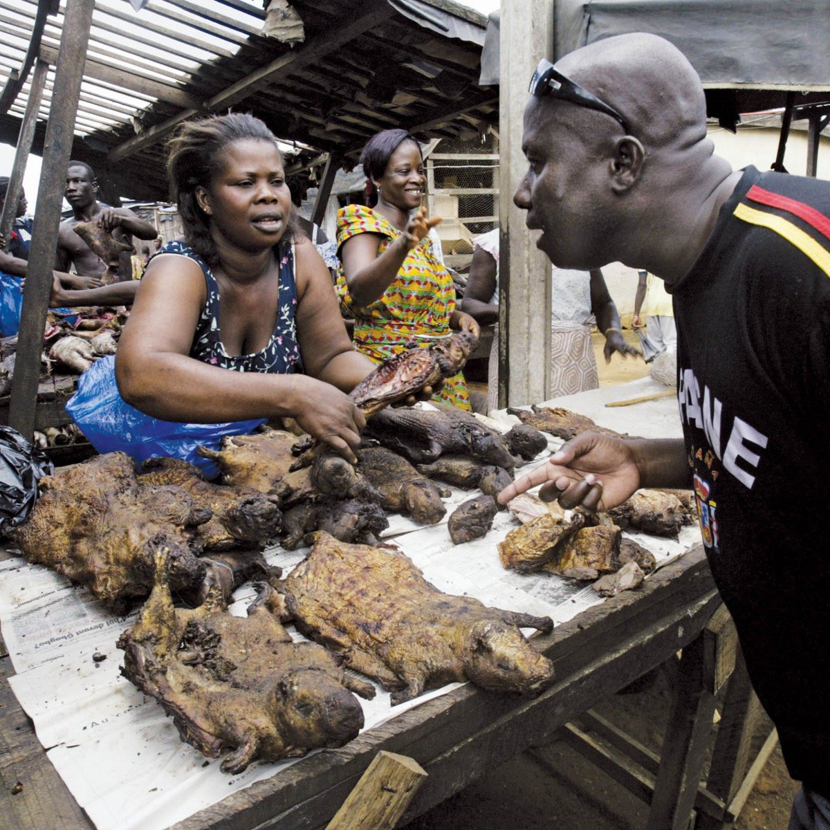 Timothy Mellon - Wikipedia Mellon donated over $1 million in 2012 to ...