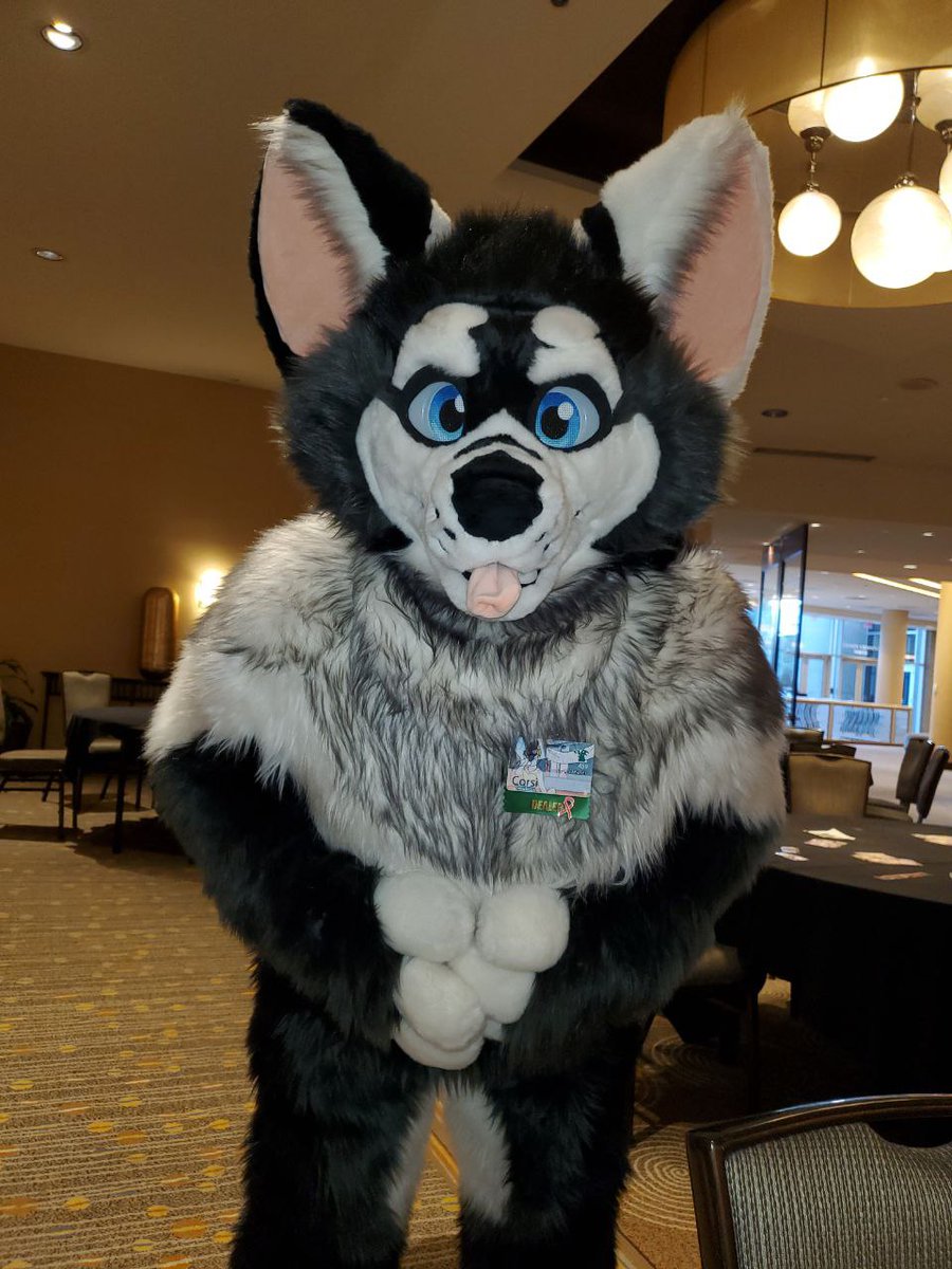 Realistic Husky Fursuit