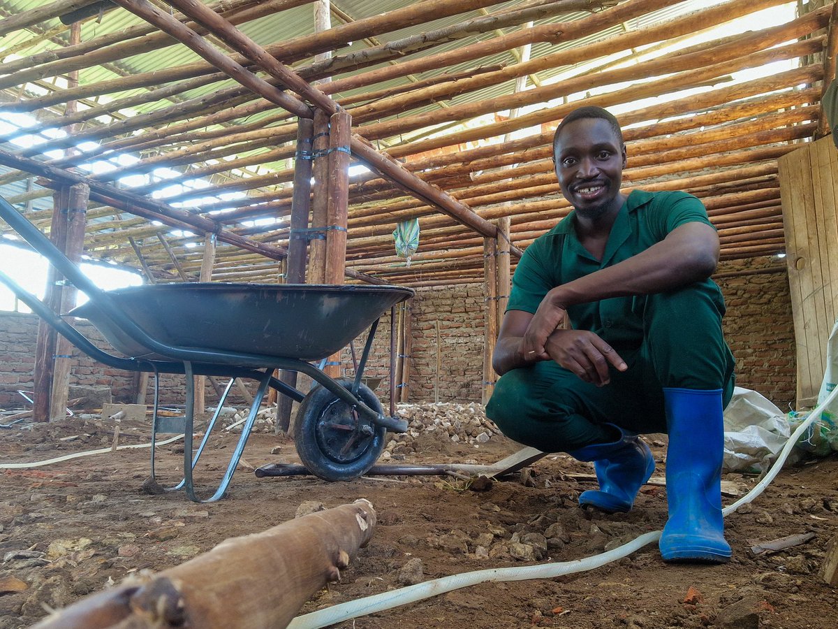 It's time to do some renovations on the chicken house! I love being ...