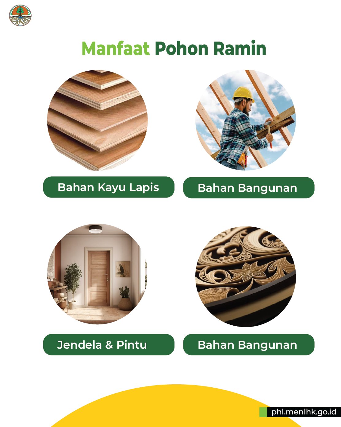 Pohon Ramin
