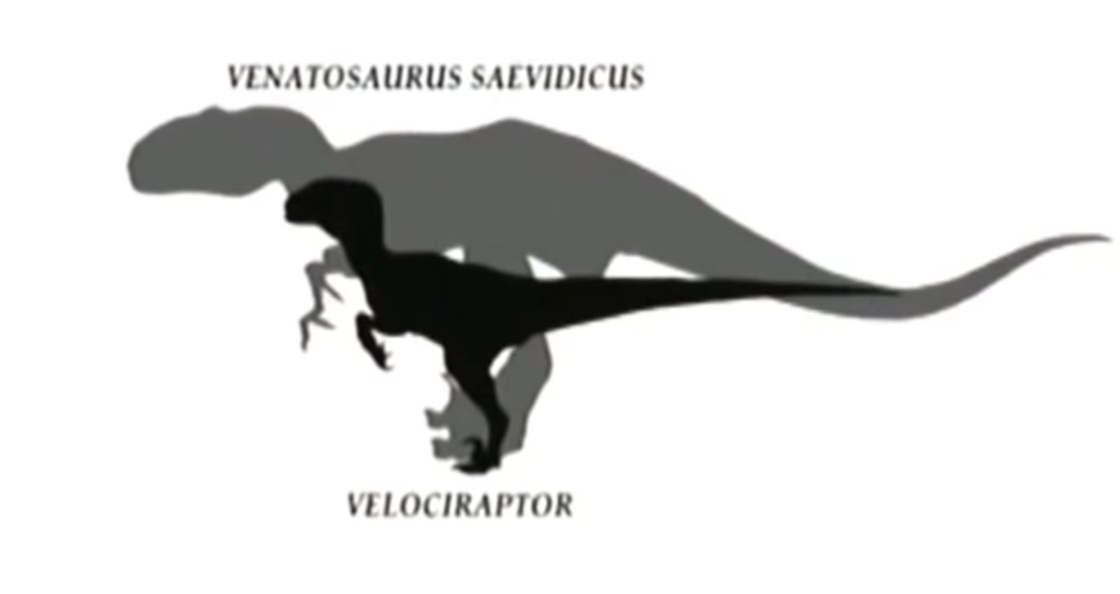 Venatosaurus King Kong