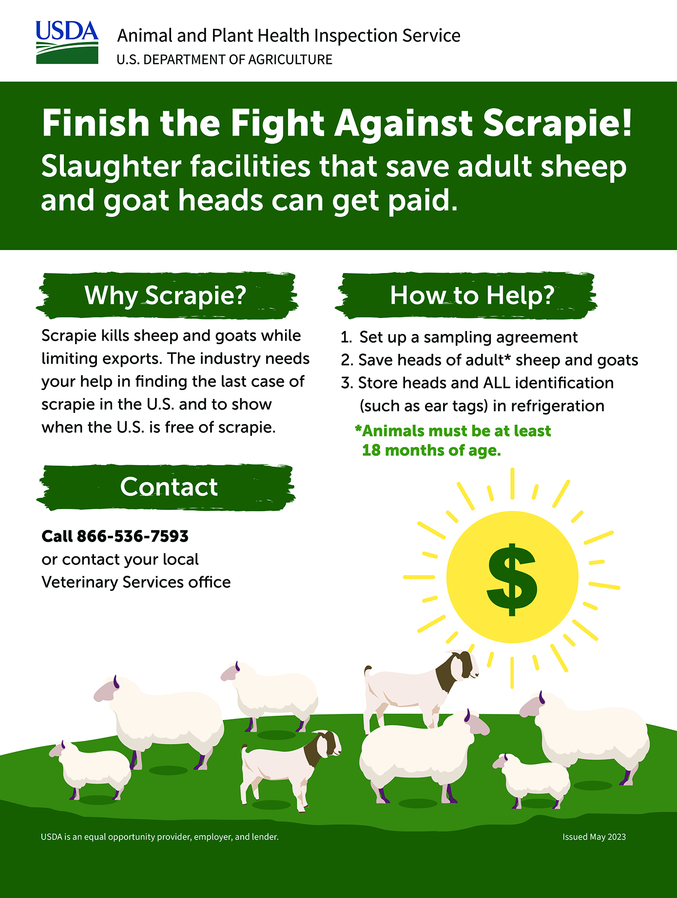 Usda Scrapie Tags How To Get Free Scrapie Tags For Sheep And Goats