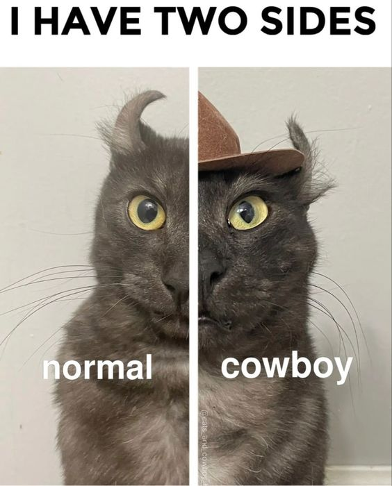 Cowboy Hat Memes