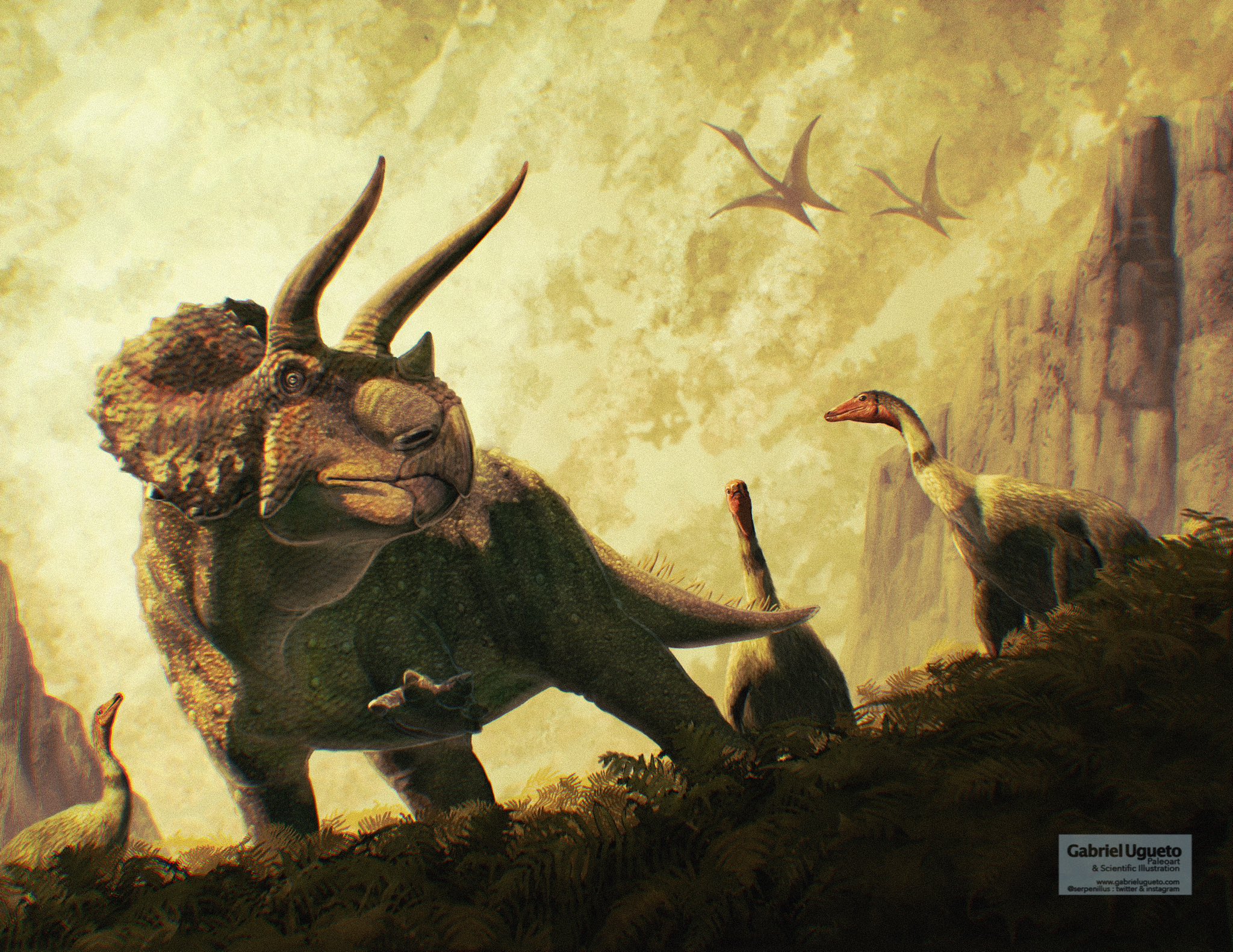 Triceratops Painting