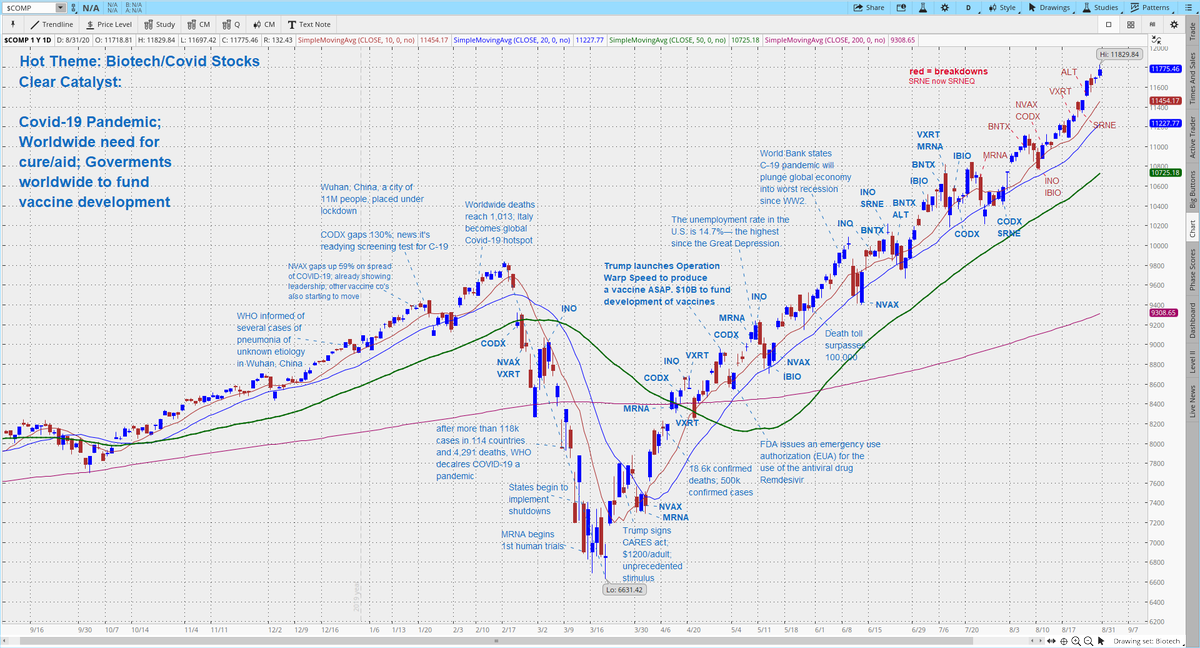 In 2020, amidst a global crisis, the stock market saw a red-hot theme ...