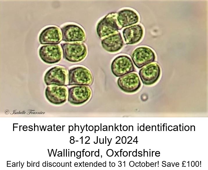 Freshwater Phytoplankton Identification