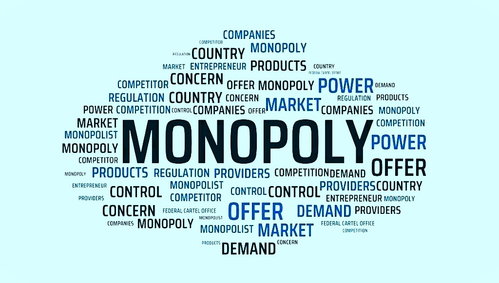 👑The Monopoly Portfolio👑 [PART -2] 💰8 Monopoly Companies every investor ...