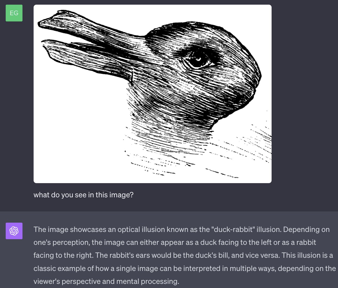 Paradigm Shift Optical Illusion
